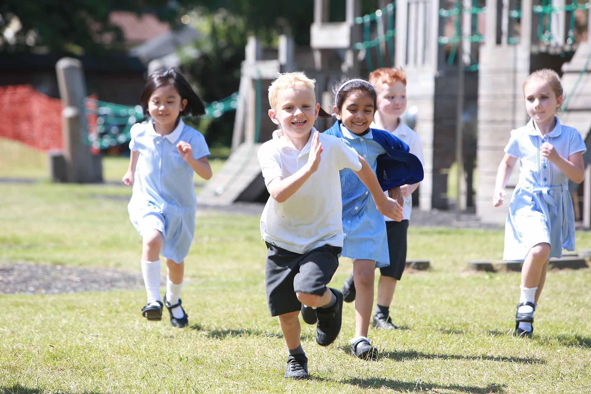 Search Results - The Good Shepherd Trust - Transforming Schools